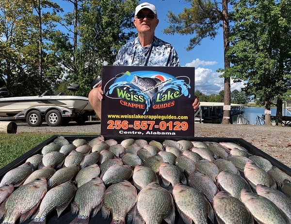 The Fall Crappie Season is underway! by Weiss Lake Crappie Guides