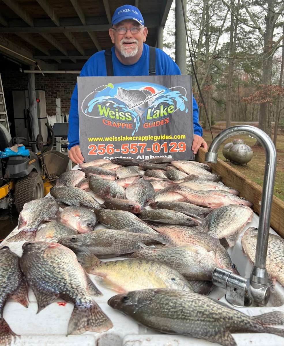 Weiss Lake Crappie Guides Photo Gallery Photo Gallery